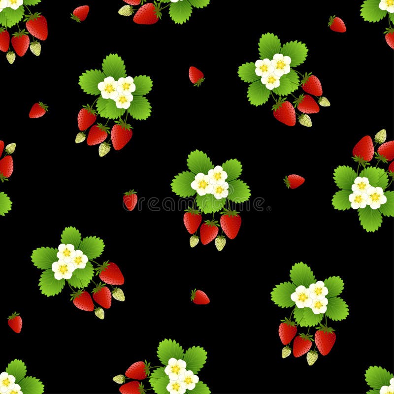 Red Strawberry and Flower Seamless on Black Background Stock Vector ...