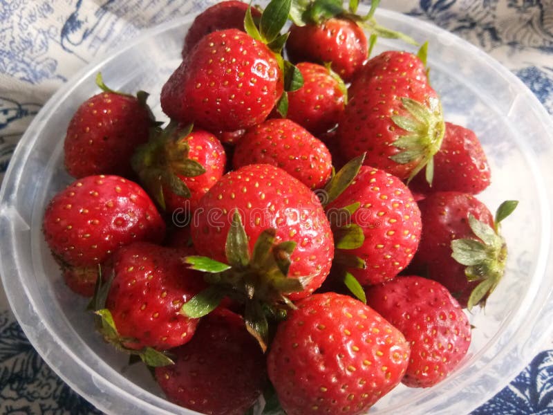 A Red Strawberry Fruit that Has a Slightly Conical Round Shape with ...