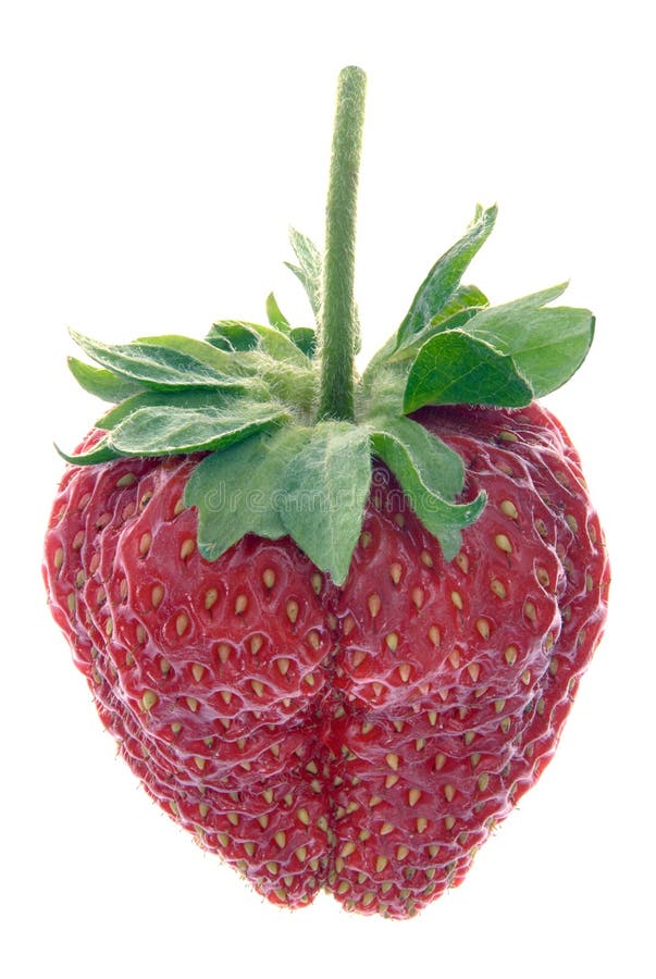 Red strawberry stock photo. Image of strawberries, white - 84803020