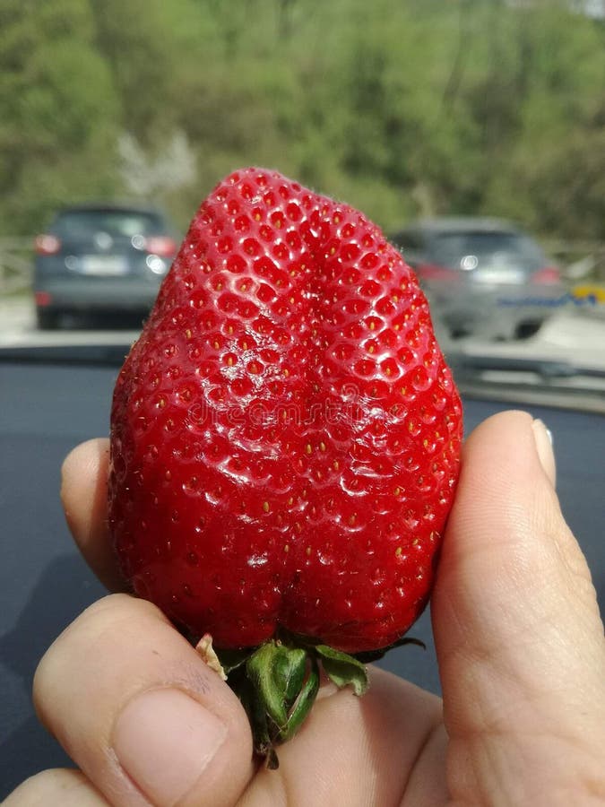 Red strawberry. stock image. Image of nature, beautiful - 158421817