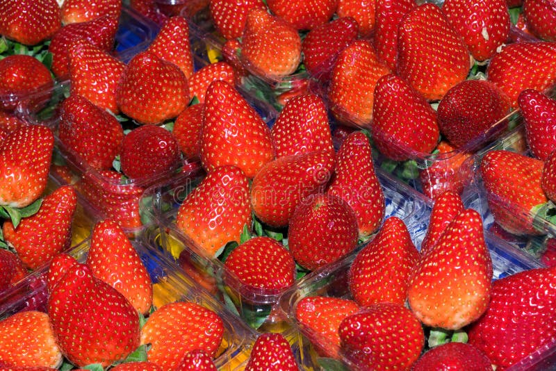 Red Strawberry Packed in Plastic Box for Sale Stock Photo - Image of ...
