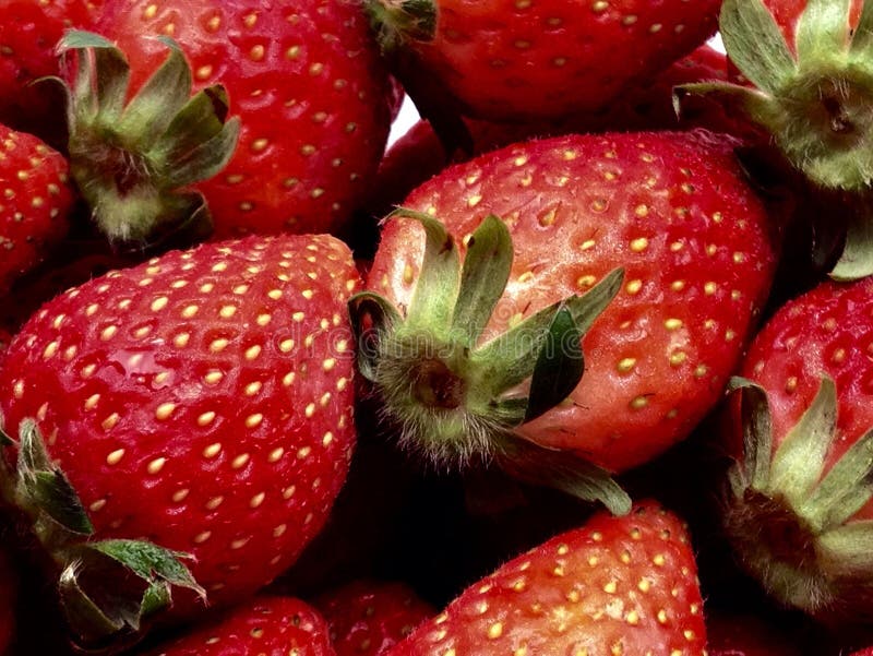 Red Strawberry stock image. Image of seed, winter, victaminc - 52138335