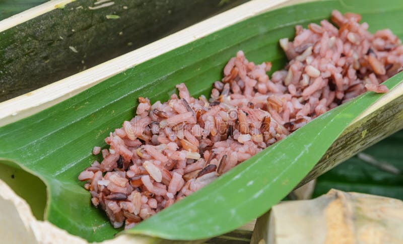 Red streamed rice stock photo. Image of thailand, nature - 40251190