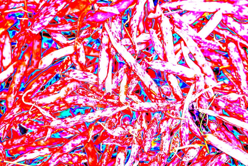 Red String Beans, Modified Color Scheme, Colorful Background. Stock ...