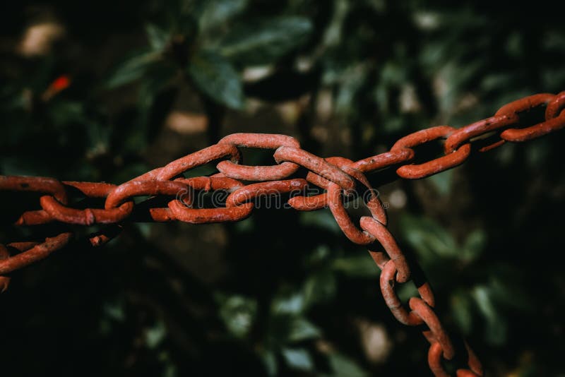 Red String Vintage Beutiful Stock Image - Image of autumn, produce ...