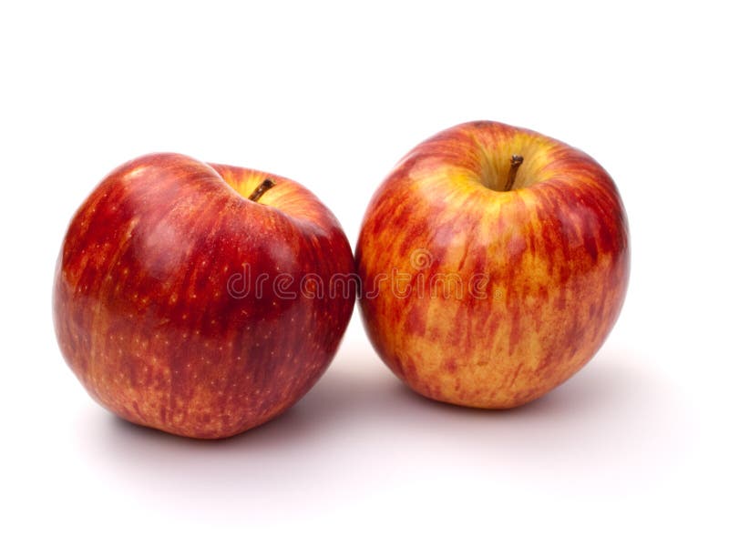 Red striped apple stock image. Image of color, front - 10702043