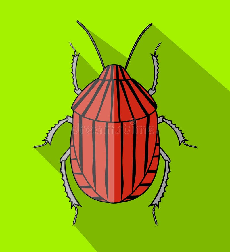 Red Striped Beetle Insect stock vector. Illustration of cockroach ...