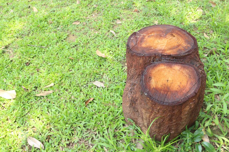 Red stump stock image. Image of turf, grass, pattern - 154460861