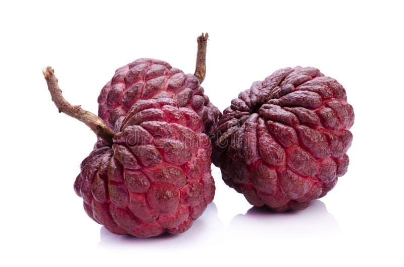 Red Sugar Apple fruit stock photo. Image of agriculture - 71336040