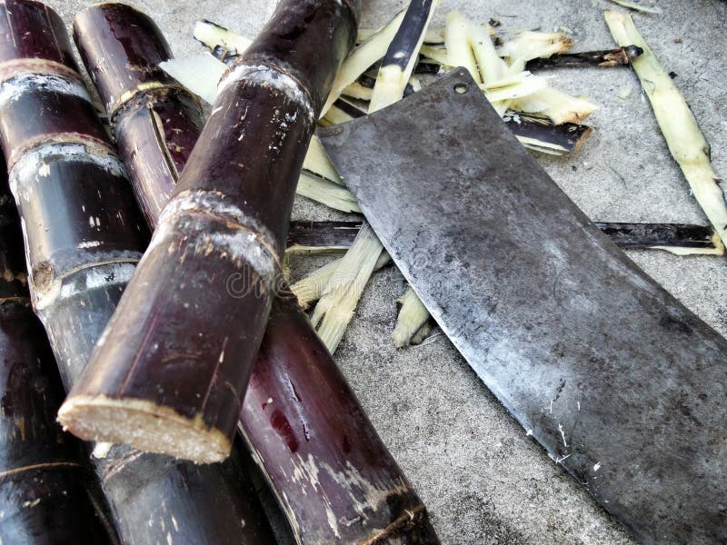 Red sugar cane stock photo. Image of producer, healthy - 35498408