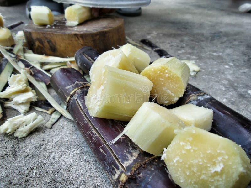 Red sugar cane stock image. Image of producer, fruit - 35498475
