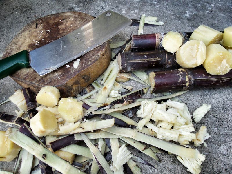 Red sugar cane stock image. Image of outdoor, farming - 35498485