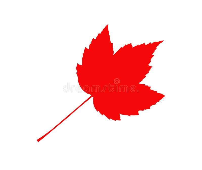 Sugar Maples Stock Illustrations – 27 Sugar Maples Stock Illustrations ...