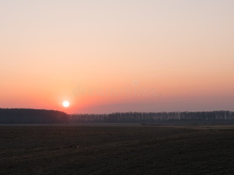 The Red Sun Rises from the Forest at Dawn Stock Image - Image of ...