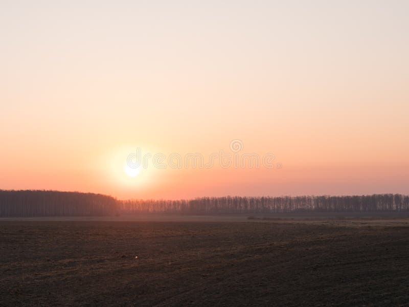 The Red Sun Rises from the Forest at Dawn Stock Image - Image of heat ...