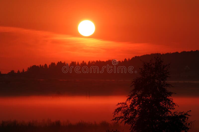 Red sunrise stock photo. Image of rising, rise, birch - 10470352