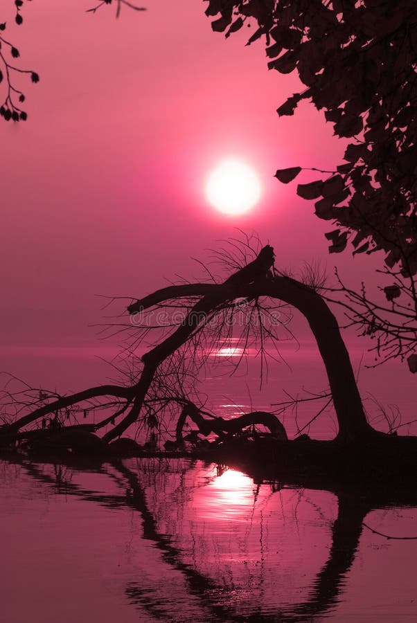 Red sunrise stock image. Image of nature, mirror, morning - 22113091