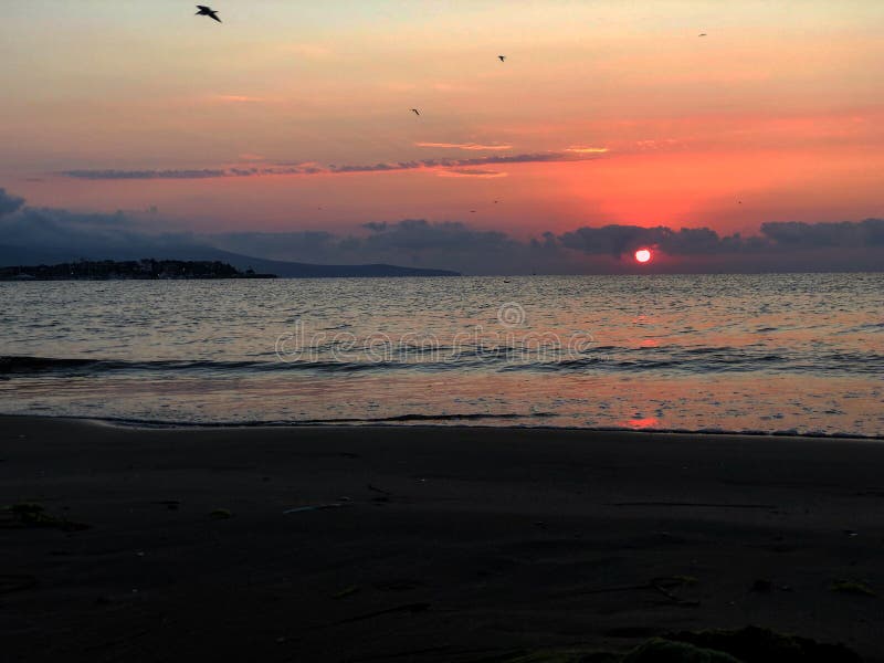 Red Sunrise stock image. Image of seagulls, beach, summer - 174403513