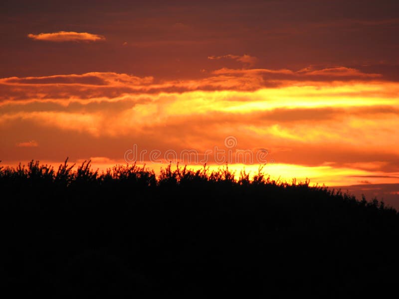 Red sunset stock image. Image of forest, rays, clouds - 1249765