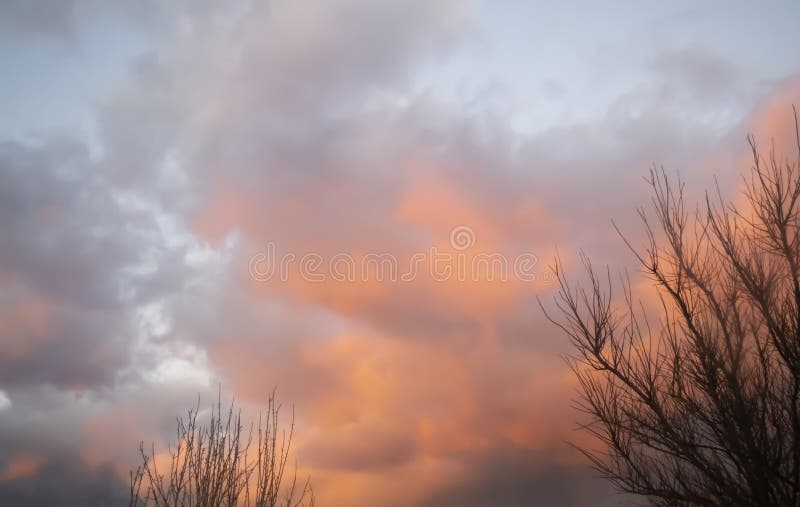 A Red Sunset Breaks through the Clouds. Red Sunset. Black Tree Branches ...