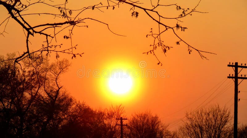 Red Sunset in Early Spring and Branches of Trees Stock Image - Image of ...