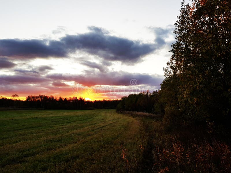 Red sunset in a field stock photo. Image of natural - 126567742