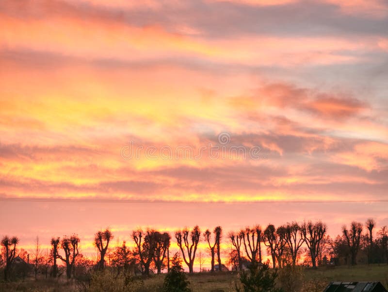 Red Sunset Over the Dark Horizon with Old Lime Tree Treeetops Stock ...