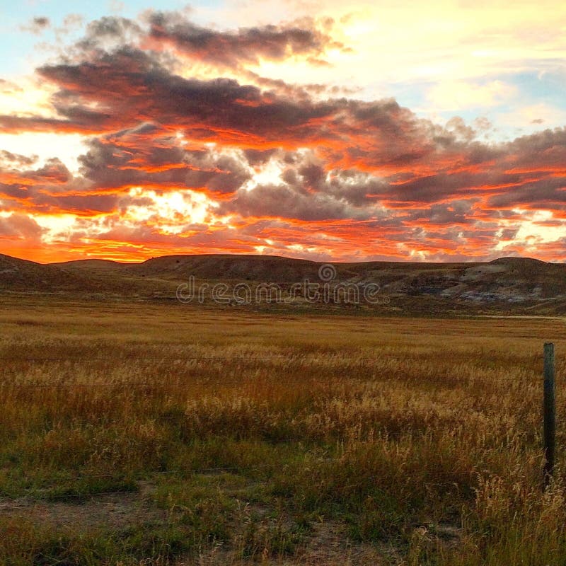 Red Sunset Over Golden Fields Stock Photo - Image of fence, autumn ...
