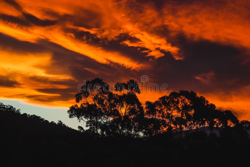Red Sunset Over Hills and Gum Trees Stock Image - Image of tree ...