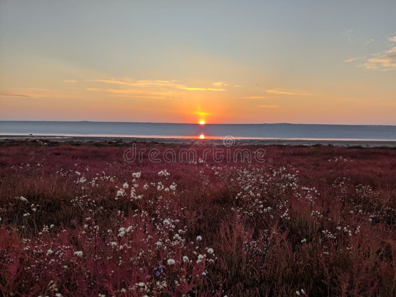 Red Sunset Over Water and a Field with Red Grass Stock Photo - Image of ...