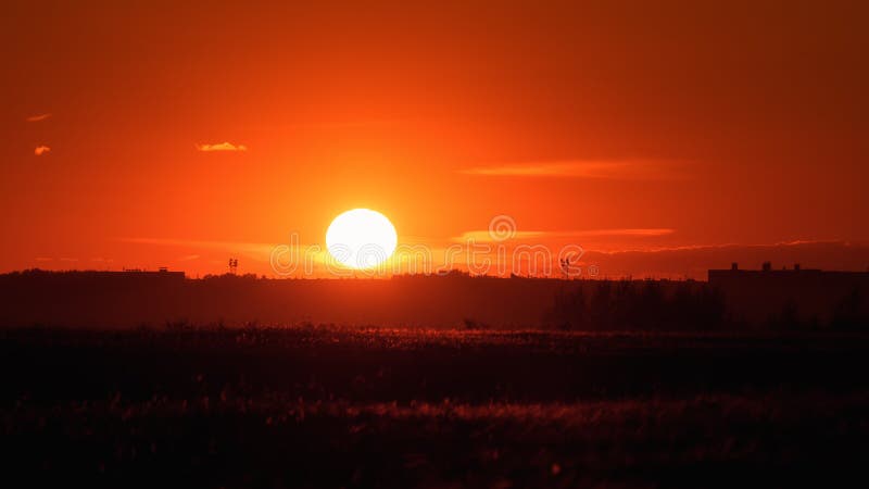 Red Sunset Over Wheat Field Stock Photo - Image of sunny, cereal: 64955222