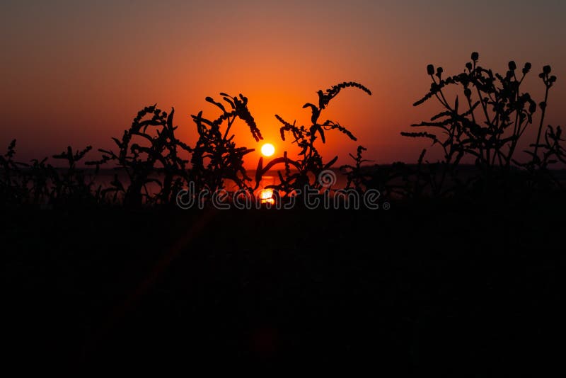 Red Sunset on a Serene Lake Stock Photo - Image of dawn, morning: 254449422
