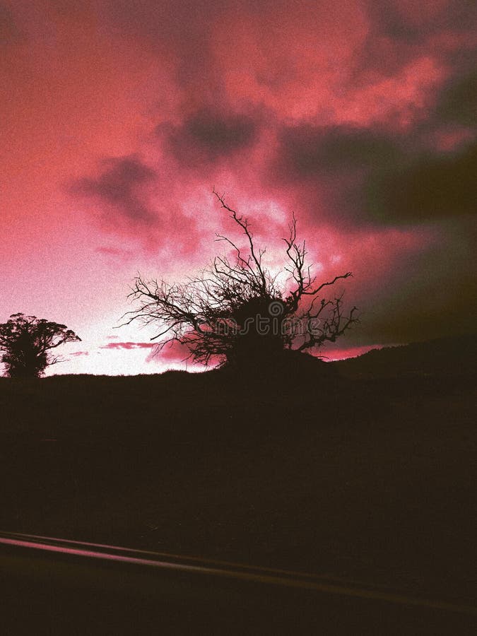 Red Sunset Sky stock image. Image of drawing, tree, sunset - 187184209