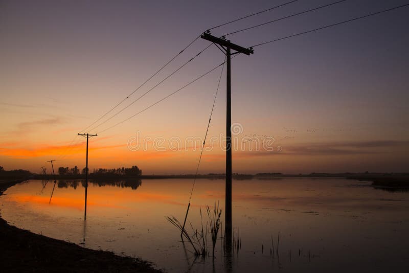 Red Sunset by a Swamp stock image. Image of pole, light - 29163909