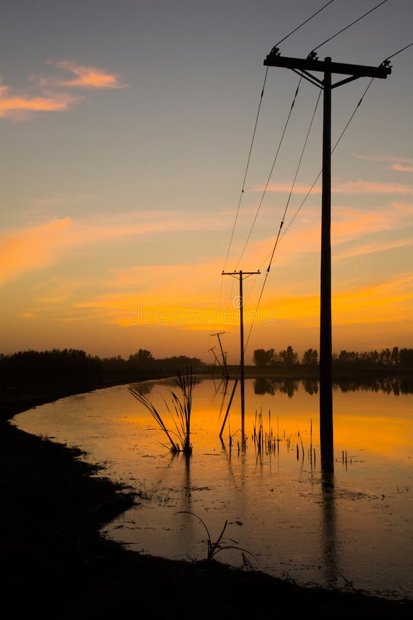 Swamp at sunset stock photo. Image of cloud, wild, natural - 13593876