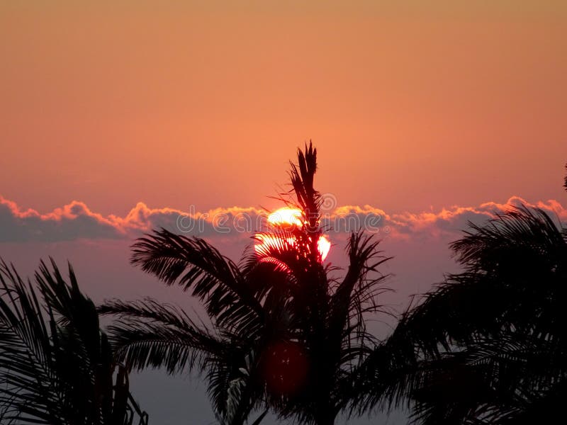 Red Sunset Though Coconut Trees and Clouds Stock Image - Image of ...