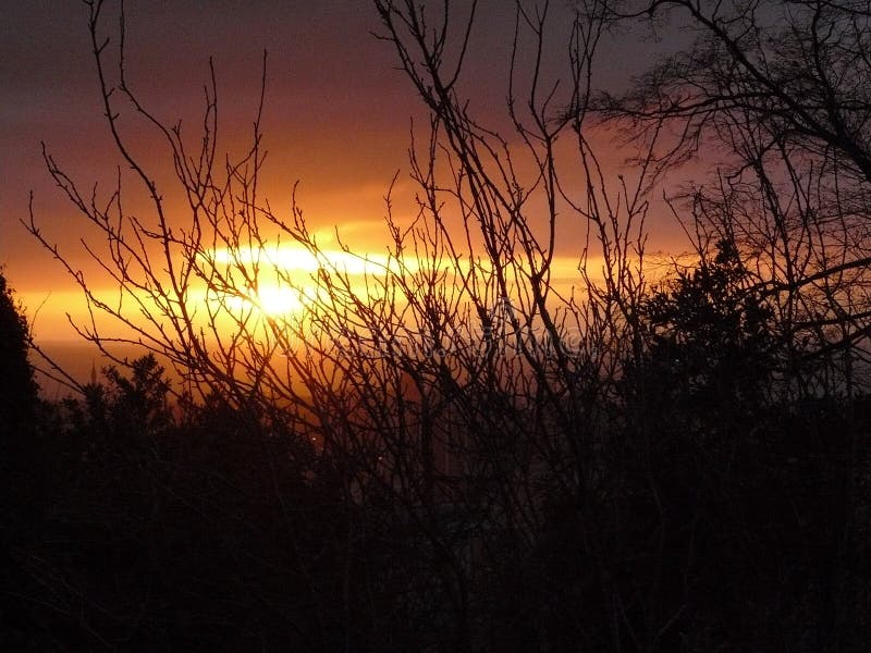Red sunset in the trees stock image. Image of travel - 189704155