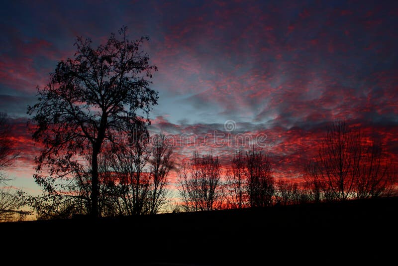 Red sunset with the trees stock photo. Image of city - 210309382