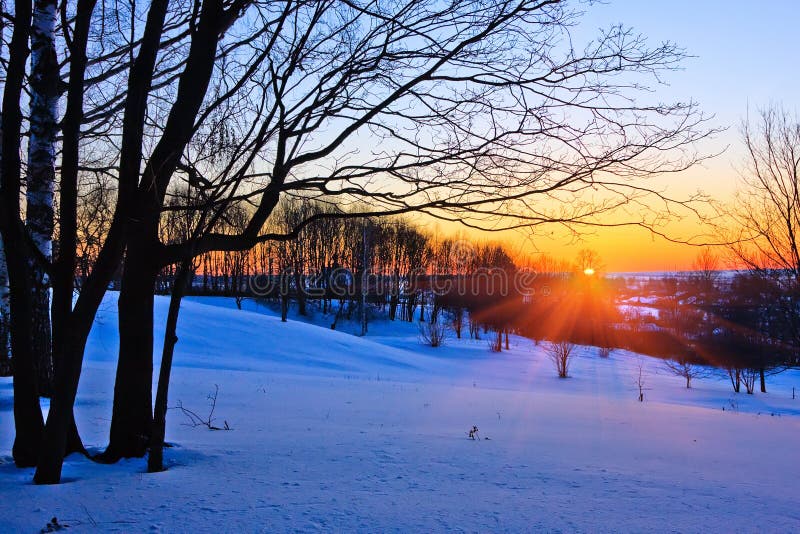 Red Sunset in a Winter Forest Stock Image - Image of colorful, sunset ...