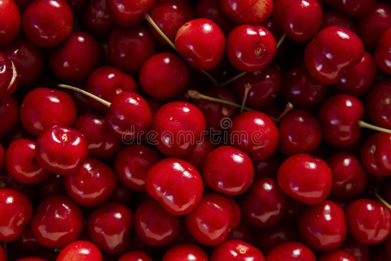 Red sweet cherries stock photo. Image of cerasus, mediterranean - 171781972