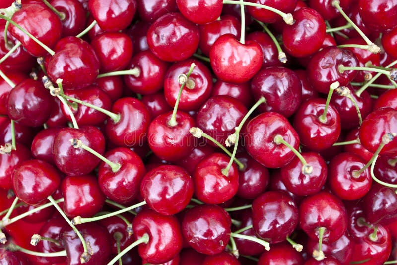 Red sweet cherry stock photo. Image of food, crop, tasty - 25082208