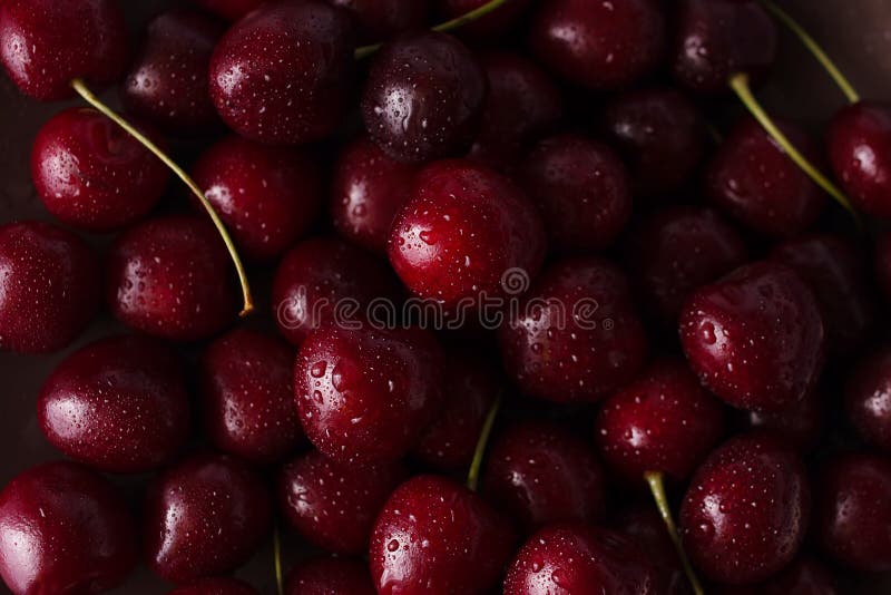 Red sweet cherry stock photo. Image of macro, refreshment - 25992788