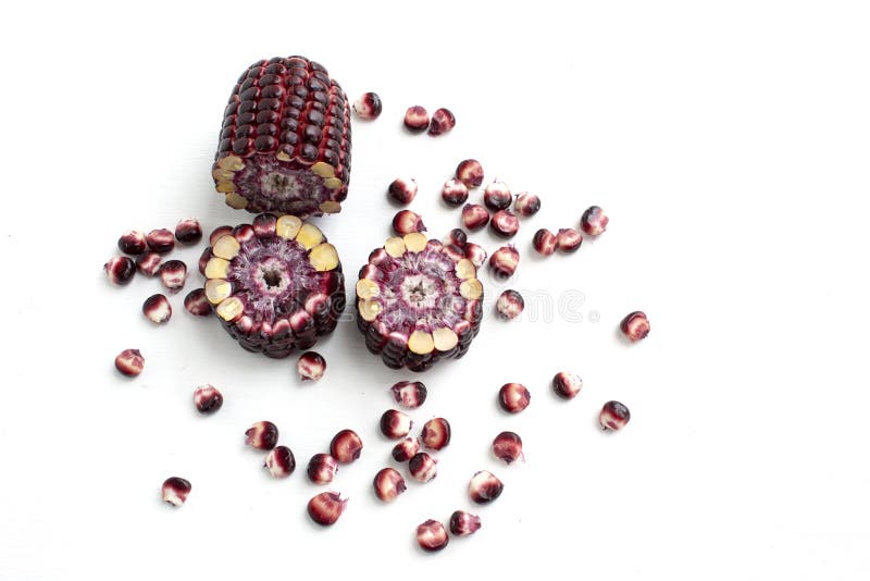 Red Sweet Corn Isolated on White Background, Siam Ruby Queen Corn Stock ...