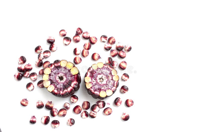 Red Sweet Corn Isolated White Background. Siam Ruby Queen Corn Stock ...