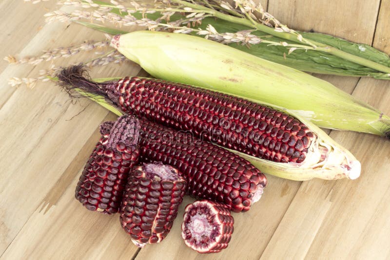 Red Sweet Corn on Wood Background, Siam Ruby Queen Corn Stock Photo ...