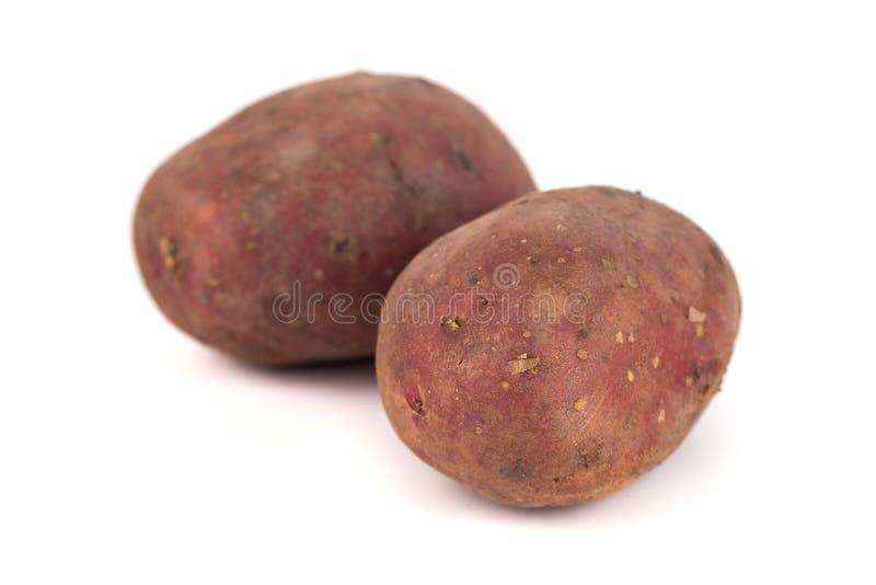 Red Sweet Large Potato Close Up Isolated on White Background Stock ...