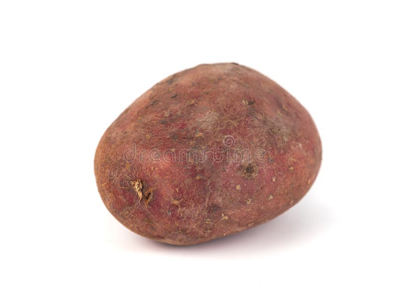 Red Sweet Large Potato Close Up Isolated on White Background Stock ...