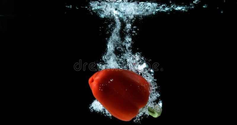 Red Sweet Pepper, Capsicum Annuum, Vegetable Falling into Water Against ...