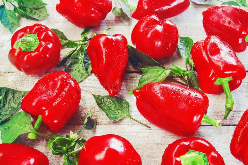 Red sweet pepper. stock photo. Image of knife, organic - 110812724