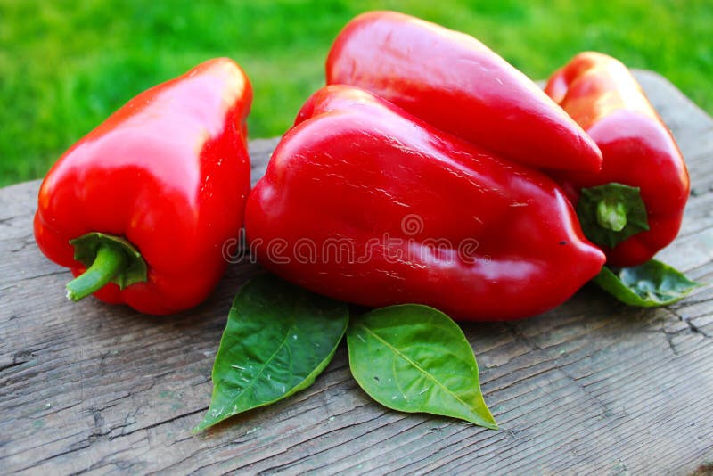 Red sweet pepper stock image. Image of product, summer - 76446477